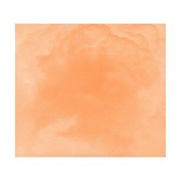 【発売日：2012年09月19日】OGRE YOU ASSHOLE (オウガユーアスホール おうがゆーあすほーる)2012年9月19日 発売OGRE YOU ASSHOLEの通算5枚目となるアルバム。今作はミドルテンポやスローな楽曲が多いが...