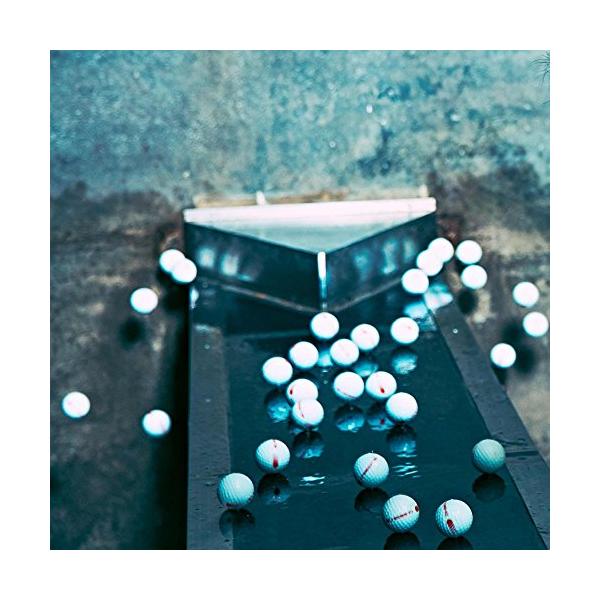 【発売日：2017年09月13日】藤井隆 (フジイタカシ ふじいたかし)2017年9月13日 発売2015年6月にリリースした前作「Coffee Bar Cowboy」から約2年、藤井隆待望のアルバムが発売決定!冨田謙をプロデューサーに迎え...