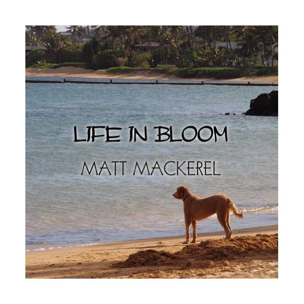 【発売日：2010年11月03日】MATT MACKEREL (マットマカレル まっとまかれる)2010年11月3日 発売CD:11.Life in bloom2.Topanga canyon3.Life in bloom(piano so...
