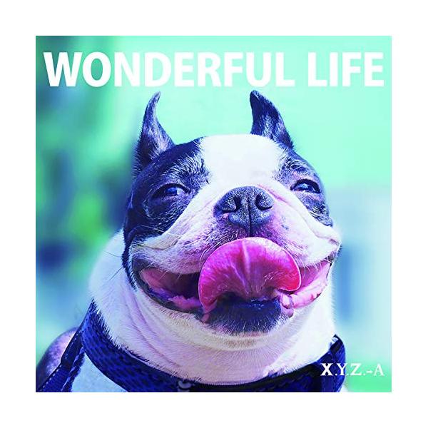 【発売日：2020年03月25日】X.Y.Z.→A (エックスワイズィートゥエー えっくすわいずぃーとぅえー)2020年3月25日 発売ラウドネス、筋肉少女帯、爆風スランプのメンバーが集結したスーパーバンド、X.Y.Z.→A。前作より約7年...