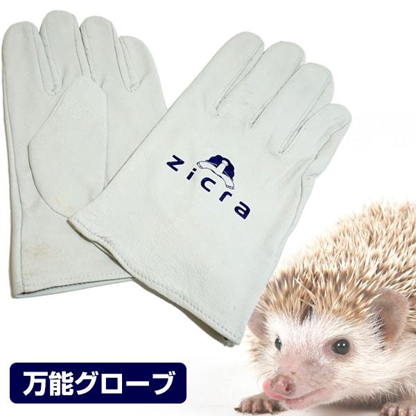 【注】天然の豚皮を使用しているため、皮の表面の質感や厚みの違い、黄ばみ・色ムラ等がありますことをご了承ください。・人にも生体にも安心感がうまれるグローブ。・やわらかな革製で、程良く手にフィット。・感覚が伝わりやすいので、生体の動きを把握でき...