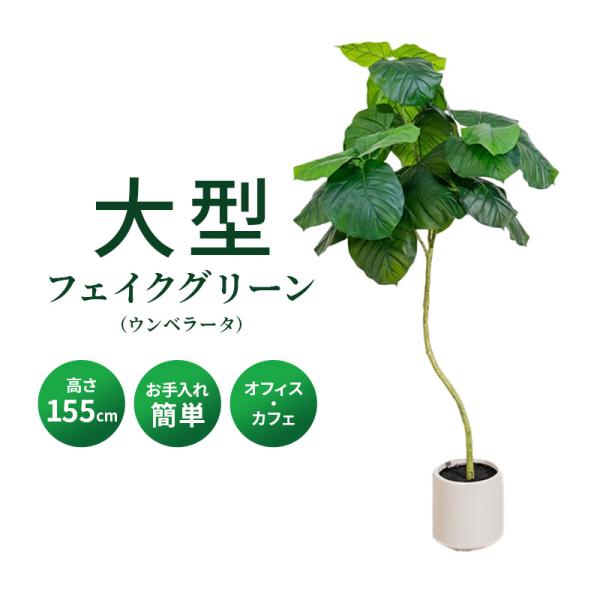 ■サイズ観葉植物高さ：155cm鉢サイズ：幅21.5x奥行21.5x高さ21.5cm■商品重量約4.5kg■梱包サイズ(1梱包)159x24x24cm■仕様梱包の際に、葉の部分に癖がついている場合がございます。その際は、手で軽く形を整えるな...