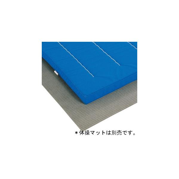 メーカー品番：T-1956商品仕様：●90×200cm、厚さ1.5mm ●重さ0.8kg ●ポリエステル、塩化ビニールコーティング納期に関して：通常5-7営業日での発送です在庫に関して：この商品は、【お取り寄せ商品】となる場合がございます。...