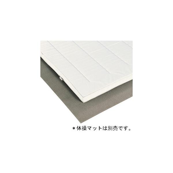 メーカー品番：T-1958商品仕様：●120×200cm、厚さ1.5mm ●重さ1kg ●ポリエステル、塩化ビニールコーティング納期に関して：通常5-7営業日での発送です在庫に関して：この商品は、【お取り寄せ商品】となる場合がございます。在...