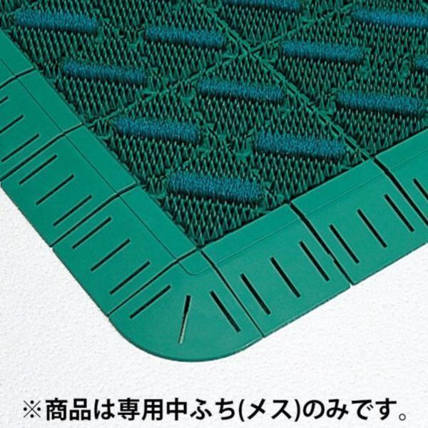品番：D4208G カラーブラッシュ中ふちメス（グリーン）商品仕様：●素材：（本体）ベース部/特殊ポリエチレン、ブラシ部/ナイロン、（中ふちメス）特殊ポリエチレン ●サイズ：巾7.5×奥行15×厚み2.0m ●重量：50g ●原産国：日本送...
