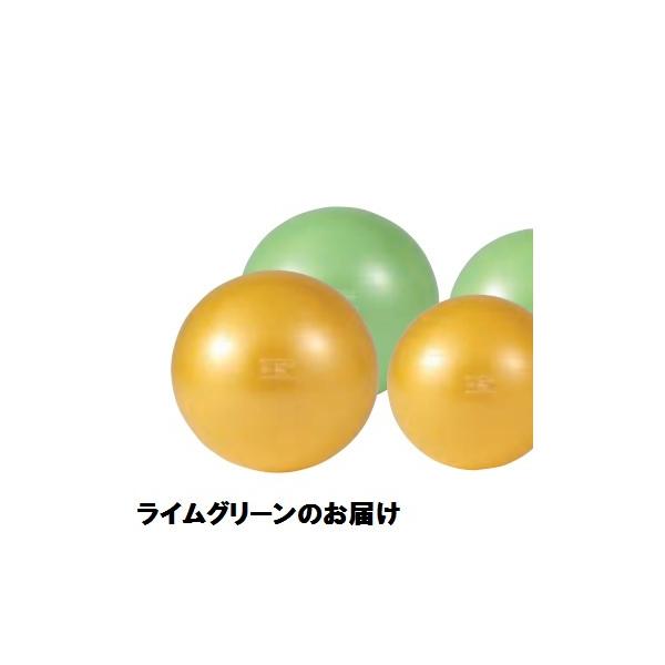 品番：D-5422LMG ギムニクカラーボールPLUS　65LG商品仕様：●直径：65cm ●重量：1250g ●材質/PVC ●耐荷重/300kg 在庫に関して：この商品は、他店舗でも同時販売いたしております。在庫更新のタイムラグ等でご用...