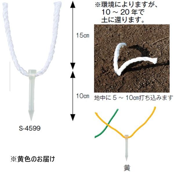 ●土に還るポイント杭！●生分解性プラスチック製！●杭の突起による危険性を軽減します！※環境によりますが、10 ?20 年で土に還ります。品番：S-4598 土に還るポイント杭(10本1組) 黄商品仕様：●直径6mm耐候ポリエチレンx15cm...