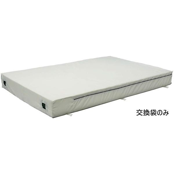 ●交換袋のみ●耐久性に優れた持ち手縫製品番：K-4040F 屋内エバーマット 150X200X20 袋のみ商品仕様：●サイズ(幅×長)：150cm×200cm●厚さ：20cm●材質：外被/ポリエステル4号帆布、中身/ウレタンフォーム●側面メ...