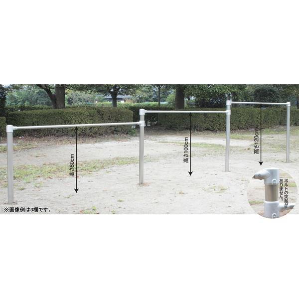 ●※高さは基本欄(追加欄を取り付けたい欄)のプラスマイナス20cm以上の差が必要となります。●ご注文時に備考欄にて高さをご指定ください。(例：100cmの欄に追加したい場合で、低い欄をご希望の際は80cm、高い欄をご希望の際は130cmなど...