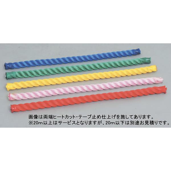 ●重さ／約0.44kg●※20ｍ以上のご注文時の1ｍの価格になります。●※20ｍ以下は別途お見積りとなります。裁断料金、別途お見積りです。●カラーロープのサツマ加工は別途お見積りです。●カラーロープ両端ヒートカット・テープ止め仕上は20m以...