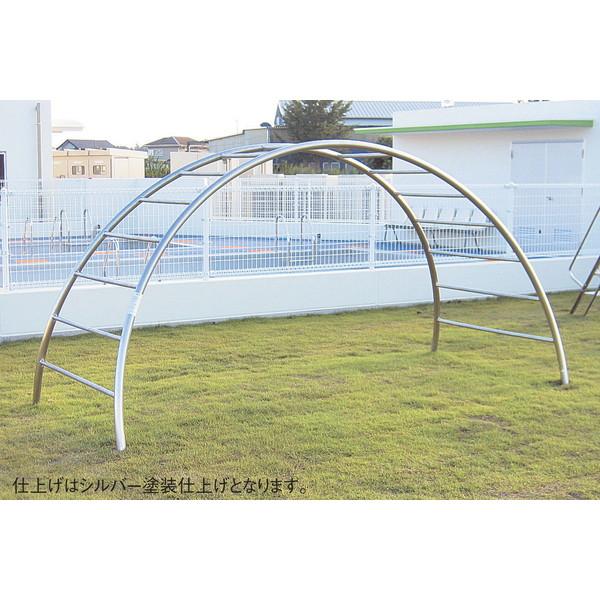 ●主材／直径48.6 ステンレス●ステンレス●仕上げはシルバー塗装仕上げとなります。●※1本ものと2本継ぎどちらも対応できます。●本製品は、「遊具の安全に関する規準」JPFA-SP-S:2024に準拠しています。●本製品の鋼材、鋼管は亜鉛メ...