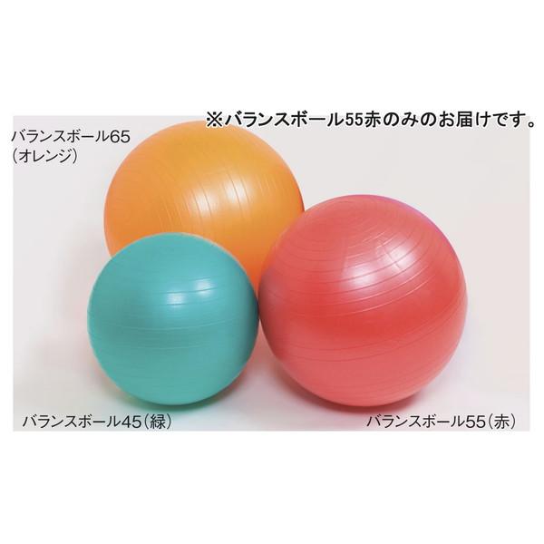 ●アンチバーストバランスボールは、傷ついたり尖ったものが刺さったりした際に、破裂せずゆっくりとしぼむタイプのボールです。●ただし、傷ついたり刺さったりしないことを保証するものではありません。品番：F-2724 バランスボール55 赤商品仕様...