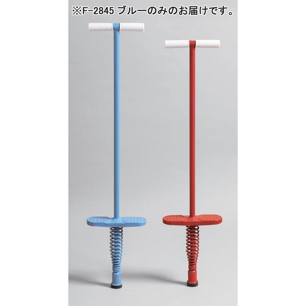 ●全身運動でバランス感覚を養おう!●スベリ防止の凸凹加工で安心!品番：F-2845 ホッピング ブルー商品仕様：●寸法／幅21cm×長さ94cm●重量／1.5kg●材質／本体：スチール、グリップ：ポリエチレン●耐荷重／35kg●生産国／日本...