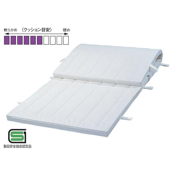 ●スポンジの弾力がフエルトに吸収して、着地クッションを助成し、体育マットの性能を完璧に生かします。●特に小・中学校の回転運動の他、着地マットに最適です。品番：F-320 合成スポンジ・コンビマット 5cm厚仕上げ 90×180cm商品仕様：...