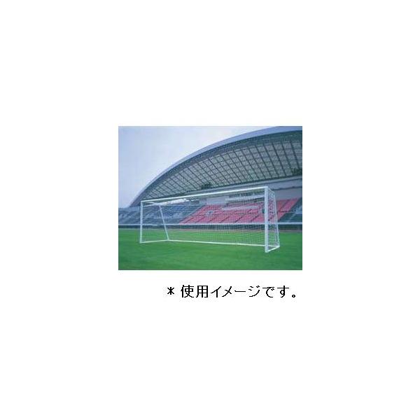 メーカー品番：D-6700W　　商品仕様：●カラー：ホワイト ●サイズ：幅744×高さ257×下部奥行240×上部奥行150×網目12cm ●規格：一般用 ●材質：ポリエチレン ●太さ：90T/180本　有結節 ●1対 ●日本製