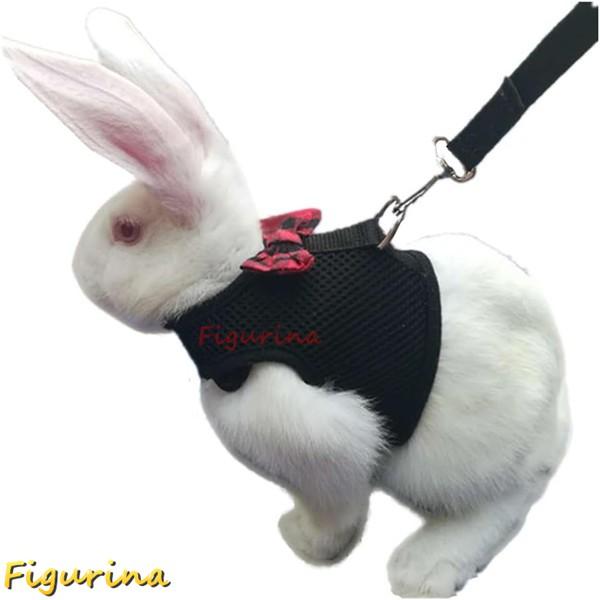 【発売日：2024年07月31日】マジックテープだけで、着脱が簡単、サイズが調節可能です。ペットの紛失を防ぐためのリードが付属して、ご主人と一緒に散歩することができます。サイズ：Ｓ：首周り18-23CM、胸周り20-24CM、着丈8CM、M...