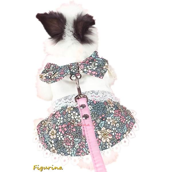 【発売日：2024年07月31日】バックルだけで、着脱が簡単、サイズが調節可能です。ペットの紛失を防ぐためのリードが付属して、ご主人と一緒に散歩することができます。小動物用に設計されています。ウサギ、猫、モルモット、チンチラ、フェレット、ハ...