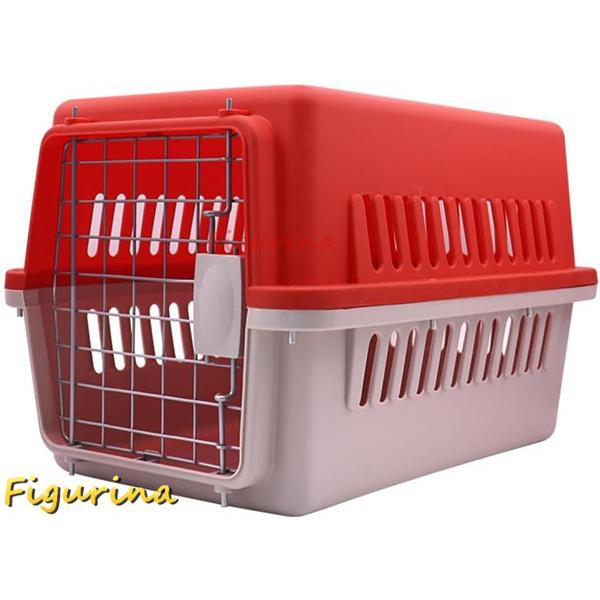 【発売日：2025年02月13日】