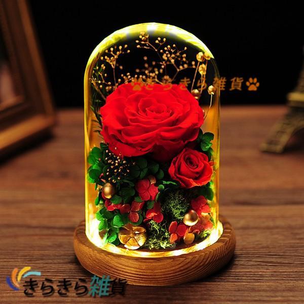 【発売日：2024年07月19日】