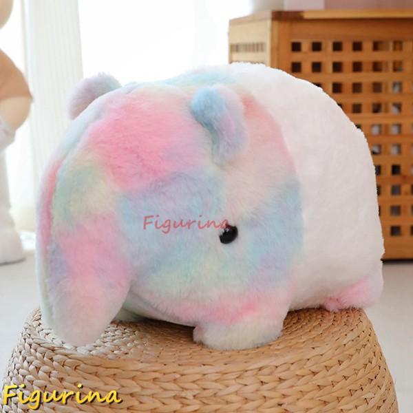 【発売日：2025年02月17日】