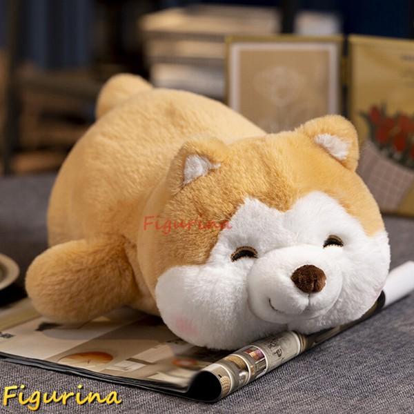 【発売日：2025年02月17日】