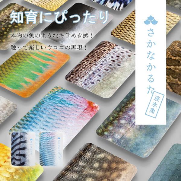 【商品詳細】商品名：さかなかるた商品説明：魚の表皮（模様や色）のみで、どの魚かを当てるかるたです。日常では見ることのない魚の模様や鮮やかな色彩、魚が光を反射する時のキラキラ感やウロコの凹凸を特殊な印刷技術で再現しています。視力が悪いお年寄り...