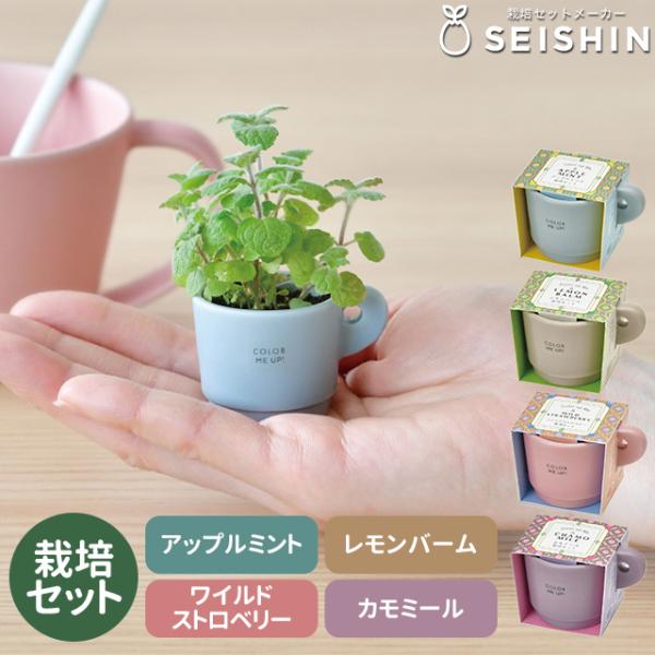 品名聖新陶芸 カラーミーアップ マグ GD-969商品詳細器・土・種、すべてが揃った栽培キット！園芸をしたことがない…という方でも安心して育てることができます。おうちの中で気軽に植物が育つ喜びをお楽しみください♪こちらの商品は…手のひらサイ...