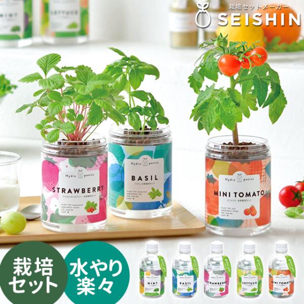 品名聖新陶芸 グリーンペット GD-1002商品詳細器・土・種、すべてが揃った栽培キット！園芸をしたことがない…という方でも安心して育てることができます。おうちの中で気軽に植物が育つ喜びをお楽しみください♪こちらの商品は…おうちで手軽に”水...