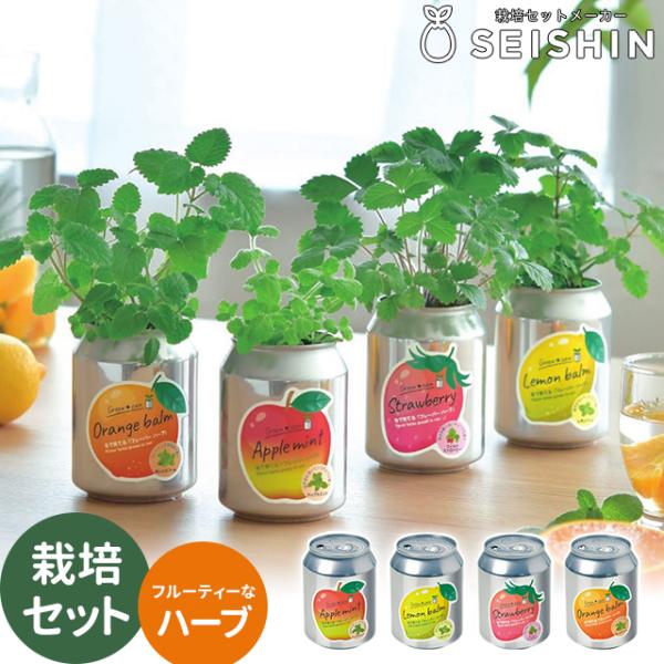 品名聖新陶芸 グリーンカン GD-1006商品詳細器・土・種、すべてが揃った栽培キット！園芸をしたことがない…という方でも安心して育てることができます。おうちの中で気軽に植物が育つ喜びをお楽しみください♪こちらの商品は…フルーティーな香りに...