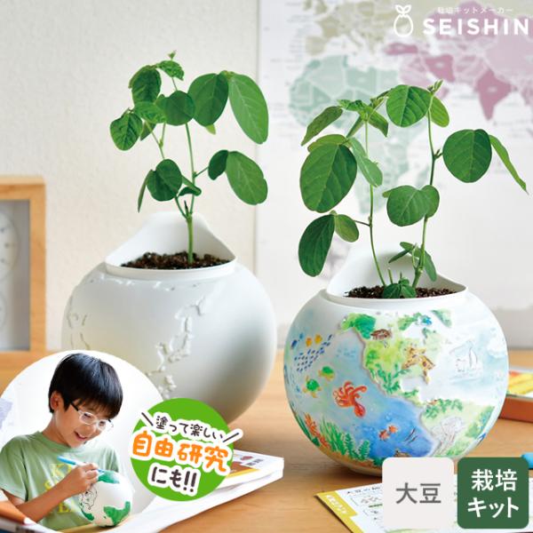 品名育てる・描く・学ぶGD-1037 育てる世界大豆栽培キット商品詳細陶製の地球型ポットで大豆を育てる栽培キットは地元の学生の考案を元に共同開発しました。コンセプトは「植物を育てながら世界で起きていることや未来について考える栽培キット」付属...