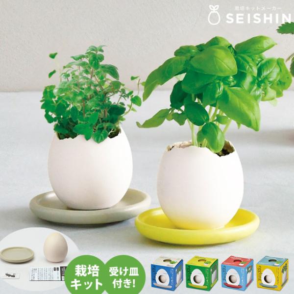 品名聖新陶芸 eggling &amp; sauce EG-61商品詳細1999年の発売以来愛され続けるロングセラー「eggling」に、待望のソーサーセットが登場！見た目はまるで本物のたまご。上部をコンコンと割って水をあげるだけで、中から...