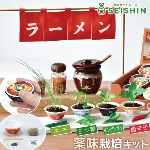 品名ラーメン薬味栽培キット GD-1059商品詳細世界中で愛される日本ラーメンの美味しさを支える「薬味」にスポットを当てた、ユニークすぎる栽培キットが登場しました！手のひらにちょこんと乗るミニミニサイズのどんぶりは、本格的な陶器製。醤油・塩...