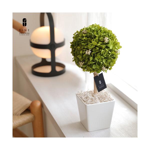 アナベルという紫陽花のプリザーブドフラワーのトピアリーです。愛らしい小さな花びらはとても繊細。それをリズミカルに形どったアレンジです。素材の美しさを引き出す為、合わせたのは白い小花のライスフラワーだけ。シンプルだけど美しい。どんな空間にも似...