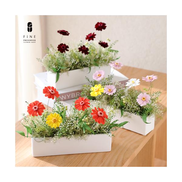 ジニアで表現した、風になびくコスモス畑。室内にいて、自然の花を眺めているような私だけのミニマムな空間大きさ：幅約28cm×高さ17cm ×奥行14cm重量：約360g花材：ジニア、スモークツリー、ベティコート、カスミソウシャワーグラス、リン...