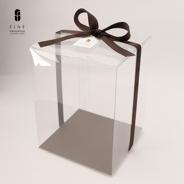 size　 Ｗ１５ｘＤ１５ｘＨ２０ｃｍ素材　PET、紙