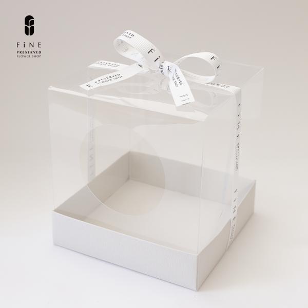 size　 Ｗ12ｘＤ12ｘＨ13cm素材　PET、紙