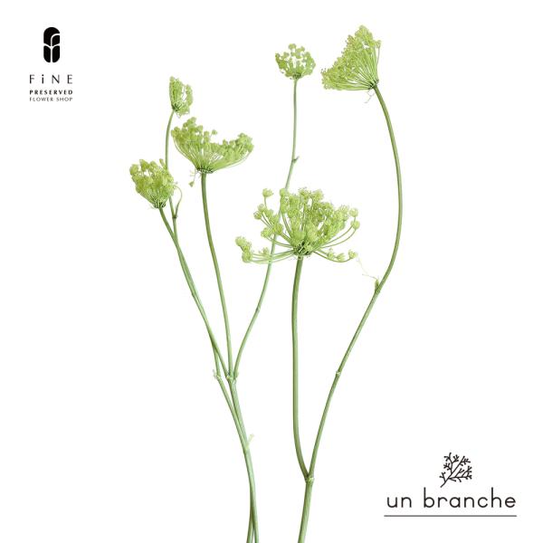 ナチュラルな色合いと質感を自在に楽しむ、ドライとプリザFiNEの花材やさん「un branche（アンブランシュ）」。シンプルインテリアに、ホワイトインテリア、北欧インテリアにそのまま飾って頂いたり、スワッグやリースなどハンドメイド花材とし...