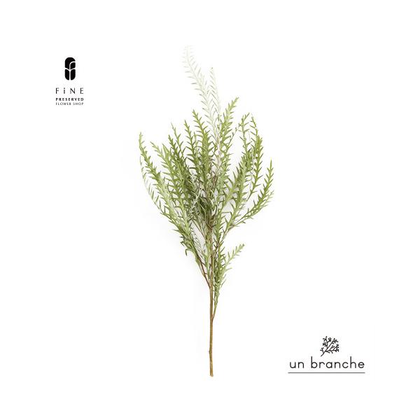 ナチュラルな色合いと質感を自在に楽しむ、ドライとプリザFiNEの花材やさん「un branche（アンブランシュ）」。シンプルインテリアに、ホワイトインテリア、北欧インテリアにそのまま飾って頂いたり、スワッグやリースなどハンドメイド花材とし...
