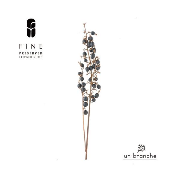 ナチュラルな色合いと質感を自在に楽しむ、ドライとプリザFiNEの花材やさん「un branche（アンブランシュ）」。シンプルインテリアに、ホワイトインテリア、北欧インテリアにそのまま飾って頂いたり、スワッグやリースなどハンドメイド花材とし...