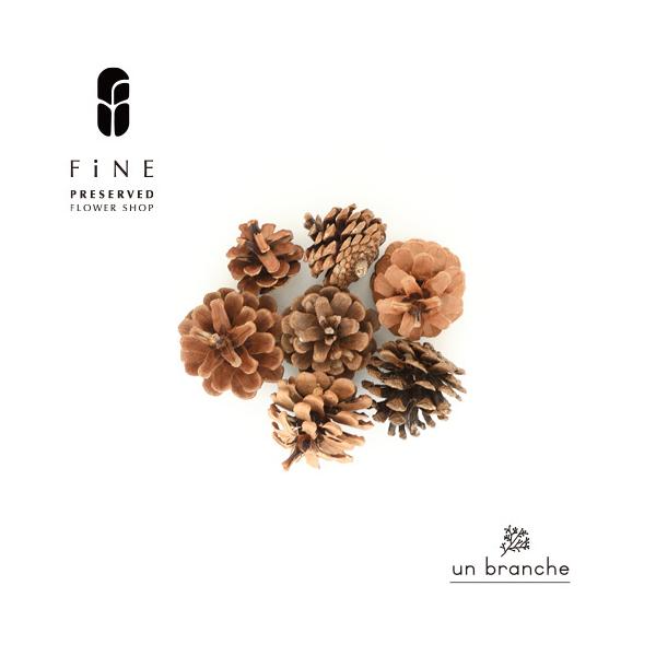 ナチュラルな色合いと質感を自在に楽しむ、ドライとプリザFiNEの花材やさん「un branche（アンブランシュ）」。シンプルインテリアに、ホワイトインテリア、北欧インテリアにそのまま飾って頂いたり、スワッグやリースなどハンドメイド花材とし...