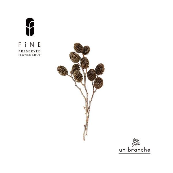 ナチュラルな色合いと質感を自在に楽しむ、ドライとプリザFiNEの花材やさん「un branche（アンブランシュ）」。シンプルインテリアに、ホワイトインテリア、北欧インテリアにそのまま飾って頂いたり、スワッグやリースなどハンドメイド花材とし...
