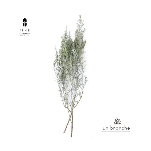 ナチュラルな色合いと質感を自在に楽しむ、ドライとプリザFiNEの花材やさん「un branche（アンブランシュ）」。シンプルインテリアに、ホワイトインテリア、北欧インテリアにそのまま飾って頂いたり、スワッグやリースなどハンドメイド花材とし...