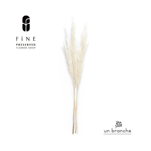 ナチュラルな色合いと質感を自在に楽しむ、ドライとプリザFiNEの花材やさん「un branche（アンブランシュ）」。シンプルインテリアに、ホワイトインテリア、北欧インテリアにそのまま飾って頂いたり、スワッグやリースなどハンドメイド花材とし...