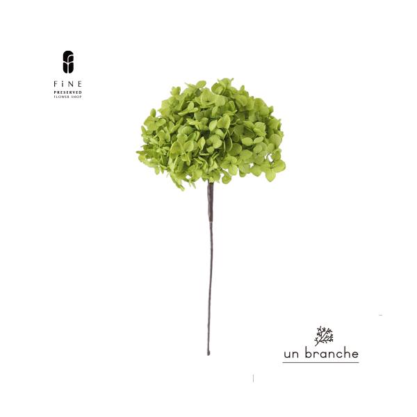 ナチュラルな色合いと質感を自在に楽しむ、ドライとプリザFiNEの花材やさん「un branche（アンブランシュ）」。シンプルインテリアに、ホワイトインテリア、北欧インテリアにそのまま飾って頂いたり、スワッグやリースなどハンドメイド花材とし...