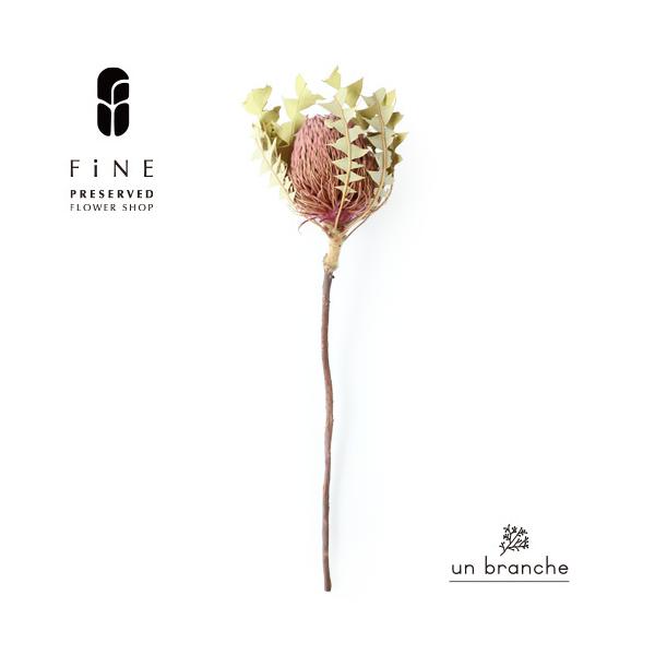 ナチュラルな色合いと質感を自在に楽しむ、ドライとプリザFiNEの花材やさん「un branche（アンブランシュ）」。シンプルインテリアに、ホワイトインテリア、北欧インテリアにそのまま飾って頂いたり、スワッグやリースなどハンドメイド花材とし...