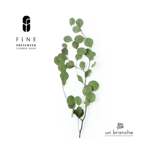 ナチュラルな色合いと質感を自在に楽しむ、ドライとプリザFiNEの花材やさん「un branche（アンブランシュ）」。シンプルインテリアに、ホワイトインテリア、北欧インテリアにそのまま飾って頂いたり、スワッグやリースなどハンドメイド花材とし...