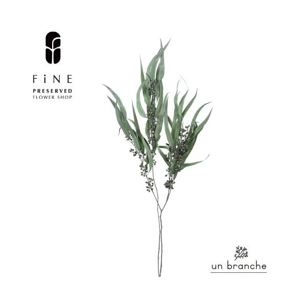 ナチュラルな色合いと質感を自在に楽しむ、ドライとプリザFiNEの花材やさん「un branche（アンブランシュ）」。シンプルインテリアに、ホワイトインテリア、北欧インテリアにそのまま飾って頂いたり、スワッグやリースなどハンドメイド花材とし...