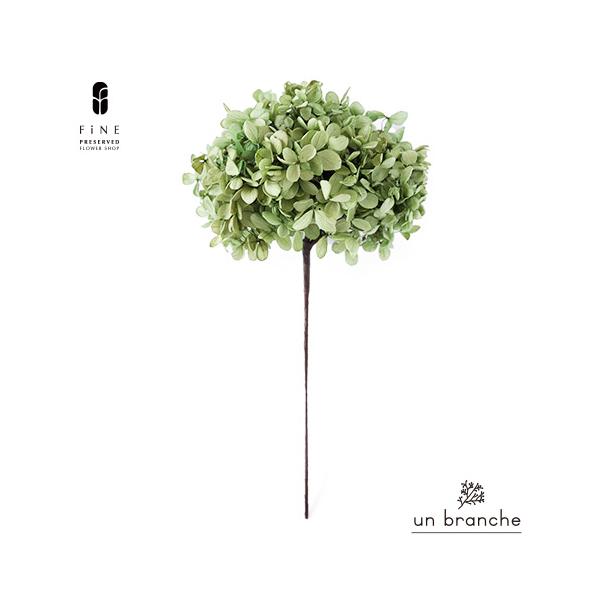 ナチュラルな色合いと質感を自在に楽しむ、ドライとプリザFiNEの花材やさん「un branche（アンブランシュ）」。シンプルインテリアに、ホワイトインテリア、北欧インテリアにそのまま飾って頂いたり、スワッグやリースなどハンドメイド花材とし...