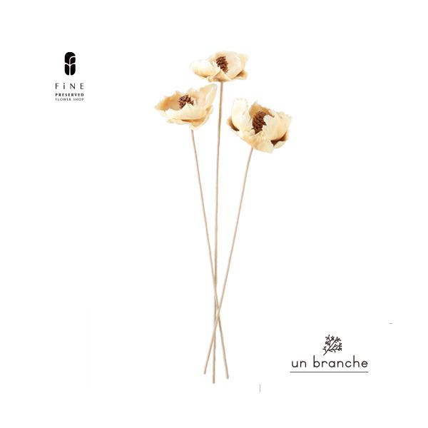 ナチュラルな色合いと質感を自在に楽しむ、ドライとプリザFiNEの花材やさん「un branche（アンブランシュ）」。シンプルインテリアに、ホワイトインテリア、北欧インテリアにそのまま飾って頂いたり、スワッグやリースなどハンドメイド花材とし...