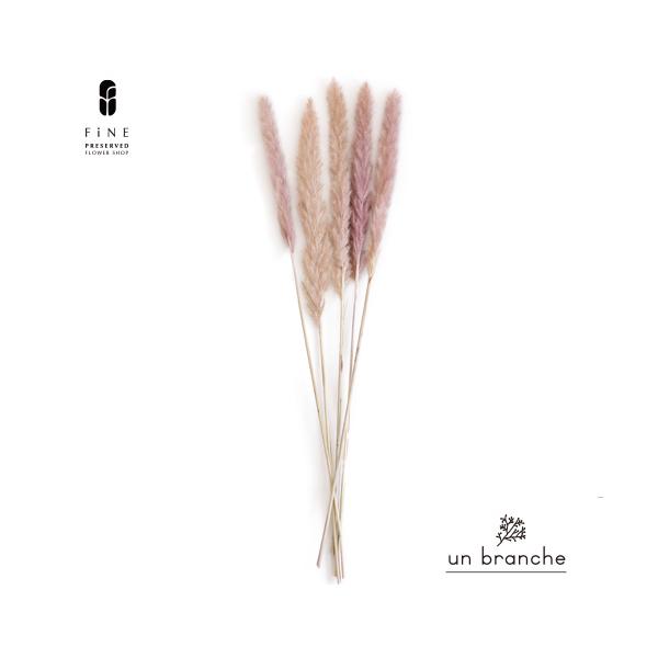 ナチュラルな色合いと質感を自在に楽しむ、ドライとプリザFiNEの花材やさん「un branche（アンブランシュ）」。シンプルインテリアに、ホワイトインテリア、北欧インテリアにそのまま飾って頂いたり、スワッグやリースなどハンドメイド花材とし...